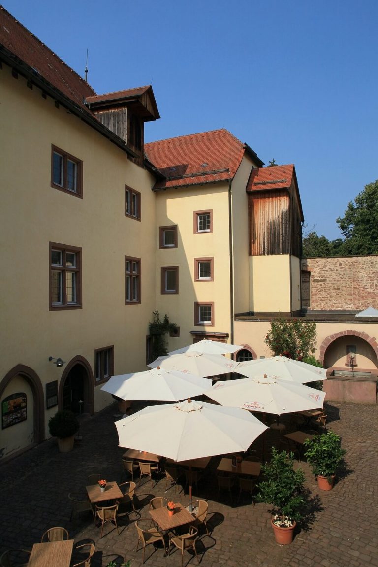 The Best Castles in the Black Forest – Visit European Castles
