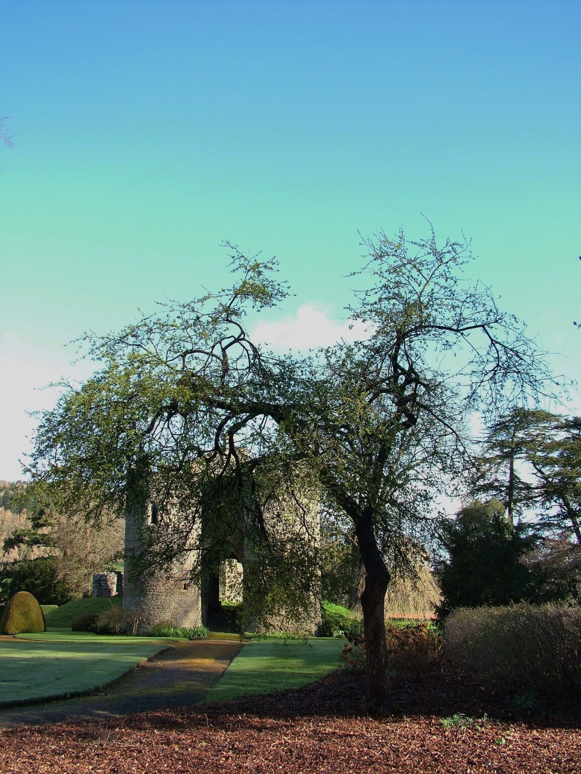 The Best Castles in Herefordshire – Visit European Castles